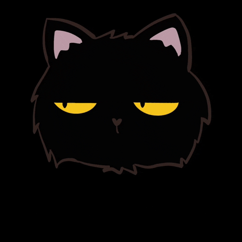 Cat Sup GIFs - Get the best GIF on GIPHY