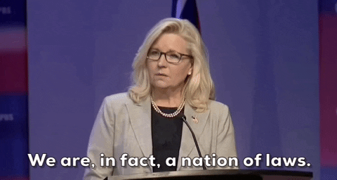 Liz Cheney Gop GIF by GIPHY News - Find & Share on GIPHY