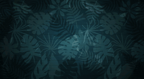 Isla Verde GIFs - Get the best GIF on GIPHY