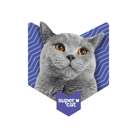 supercat_peru GIFs on GIPHY - Be Animated