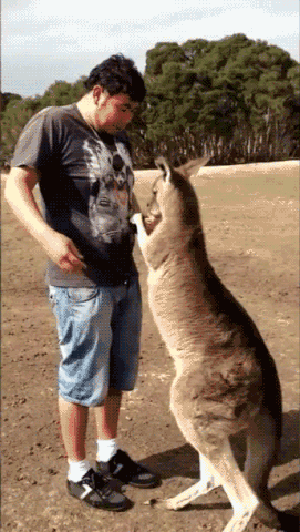 Wizards @ Heat - 8pm 12/06/19 (12pm 07/12/19 WILT ZONE) - Page 24 - RealGM