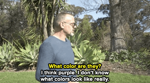 Colorblind GIFs - Get the best GIF on GIPHY