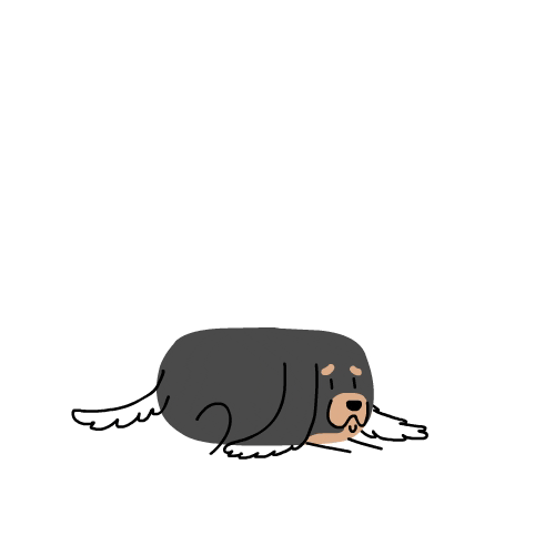 Long Ears GIFs - Get the best GIF on GIPHY