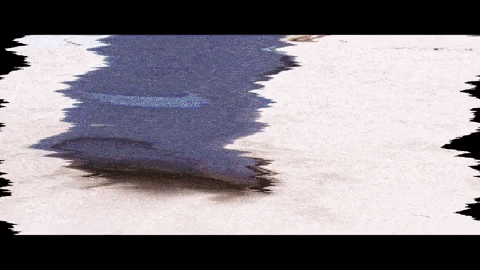 Mcgw GIFs - Get the best GIF on GIPHY