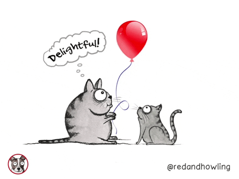 Redballoon GIFs - Get the best GIF on GIPHY