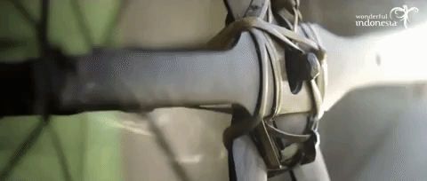 Pemintal GIFs - Get the best GIF on GIPHY