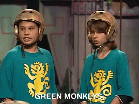 Legends Of The Hidden Temple Green Monkeys