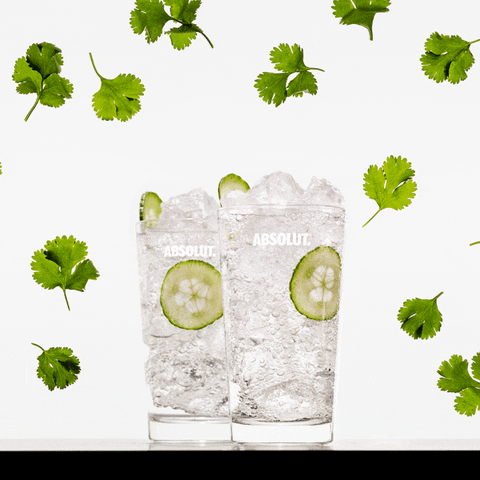 Absolut Cilantro GIFs - Get the best GIF on GIPHY