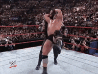 Stone Cold Stunner Gif