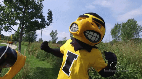 Hawks GIFs - Get the best GIF on GIPHY