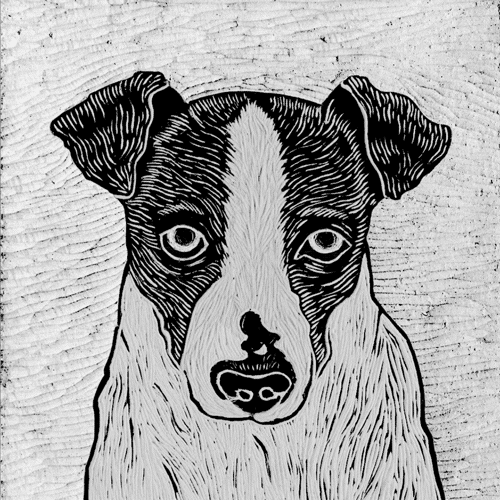 Danny The Dog GIFs - Get the best GIF on GIPHY