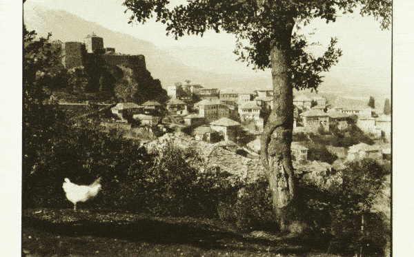 South Eastern Europe GIFs - Get the best GIF on GIPHY