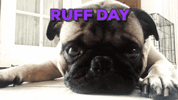 Rough Day GIFs - Find & Share on GIPHY