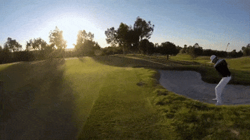 Golf GIFs - Find & Share on GIPHY