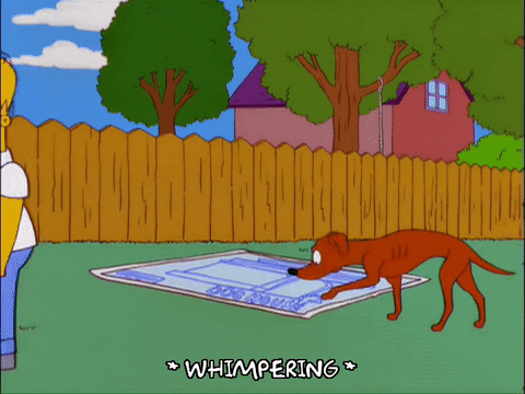 Bad Dogs GIFs - Get the best GIF on GIPHY