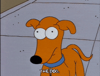Suspicious Dog Simpsons