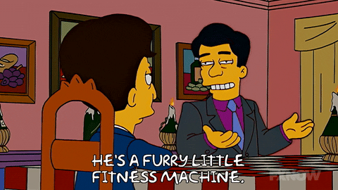 Fitness-machine GIFs - Get the best GIF on GIPHY