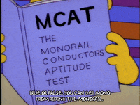 Monorail Cat Gif