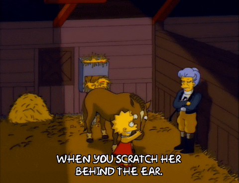 Behind-the-ears GIFs - Get the best GIF on GIPHY