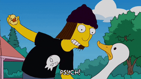 Duck Jumping GIFs - Get the best GIF on GIPHY