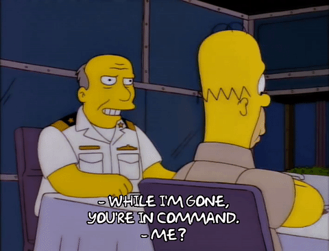 Homer Simpson Support GIF - Find & Share on GIPHY