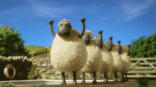 Shaun The Sheep Swimming GIF by Aardman Animations - Find & Share on GIPHY