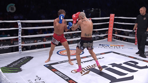Fight Fail GIF by Bellator - Find & Share on GIPHY