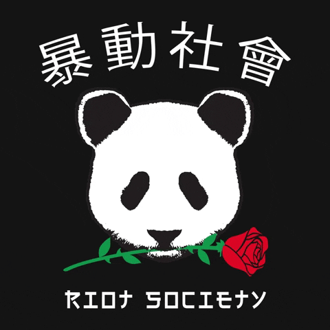 High Panda GIFs - Get the best GIF on GIPHY
