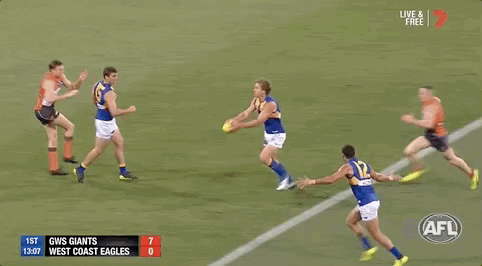 Aussie Rules Finals GIF by AFL - Find & Share on GIPHY