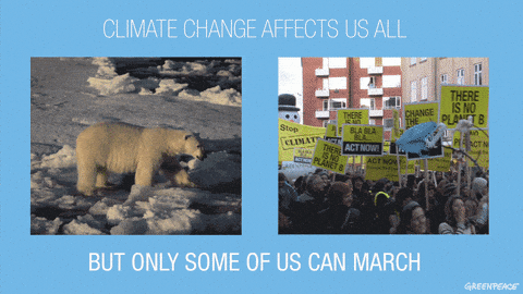 - Find & Share on GIPHY