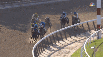 Kentucky Derby 2015 GIFs - Get the best GIF on GIPHY