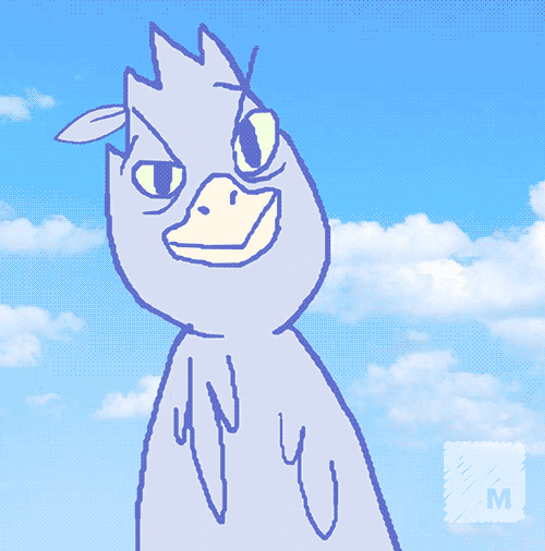 Bird Pecking GIF by Mashable - Find & Share on GIPHY