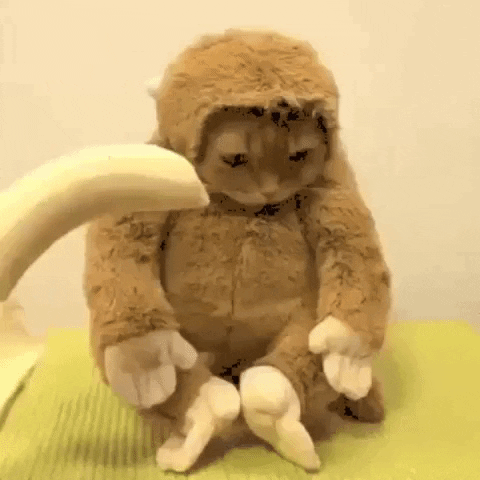 Sad Monkey GIFs - Get the best GIF on GIPHY