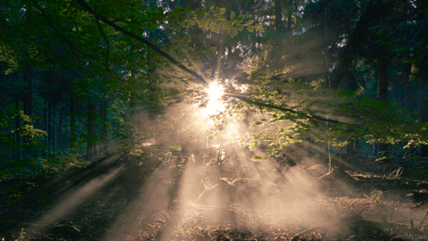 Smoke Sunset GIF by Living Stills - Find & Share on GIPHY