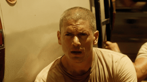 Looking Michael Scofield GIF by Prison Break - Find & Share on GIPHY