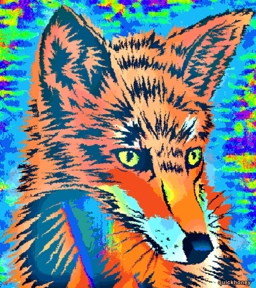Fox GIF by PEEKASSO - Find & Share on GIPHY