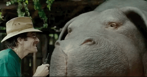 Okja GIF by NETFLIX - Find & Share on GIPHY