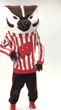 Nope Gif Badger