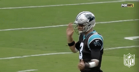 Carolina Panthers Football GIF by NFL - Find & Share on GIPHY