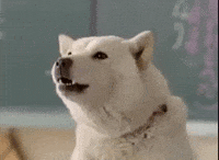 Growling Dog Gif