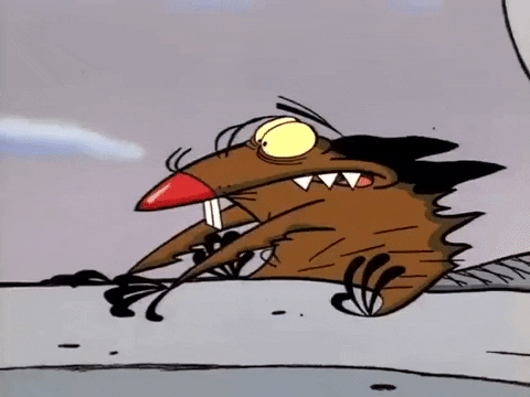 Angry Beavers Dag