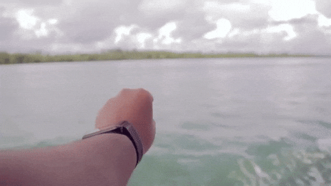 Travel GIFs on GIPHY - Be Animated