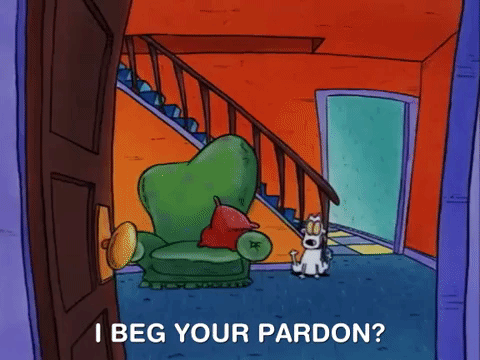 I-beg-your-pardon GIFs - Get the best GIF on GIPHY