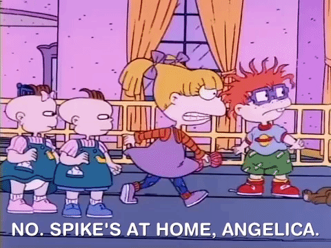 No-spike GIFs - Get the best GIF on GIPHY