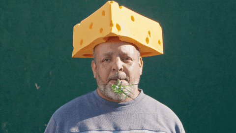 Cheese Head GIFs - Get the best GIF on GIPHY