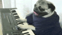 Music Keyboard Gif