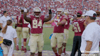 Red Lightning Fsu Gif