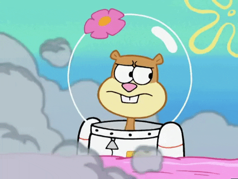 Sandy GIFs on GIPHY - Be Animated