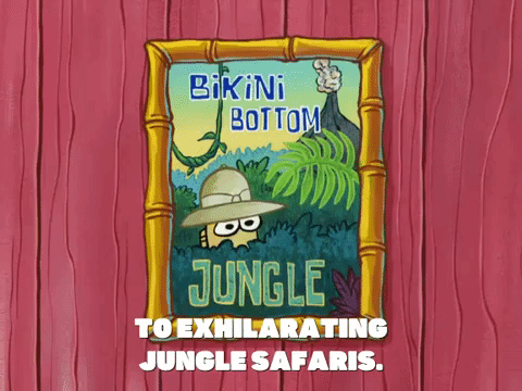 Jungle-safari GIFs - Get the best GIF on GIPHY