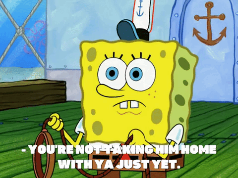 Scrapbook Layout GIFs - Get the best GIF on GIPHY